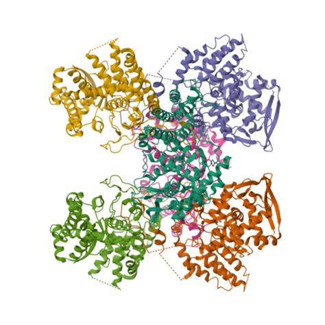 Rcsb Pdb 5b7b Crystal Structure Of Nucleoprotein Nucleozin Complex