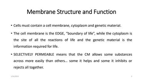 Solution Cell Membrane Component And Functions Studypool