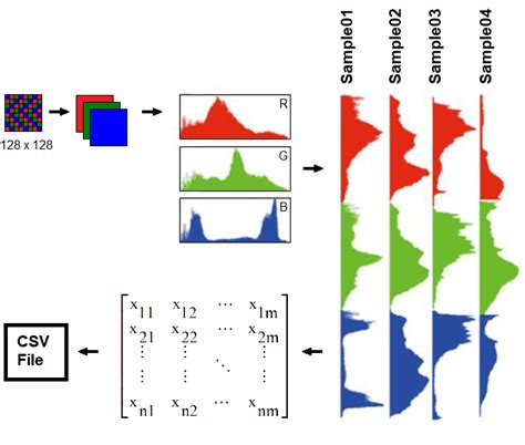 Processing To Generate Csv File From Matrix Of Histograms Download Scientific Diagram