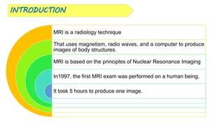 Magnetic Resonance Imaging In Food Pptx