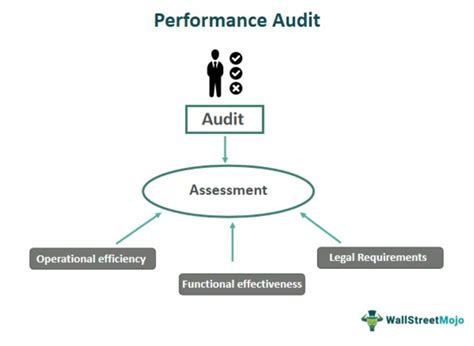 Performance Audit Meaning Example Objective