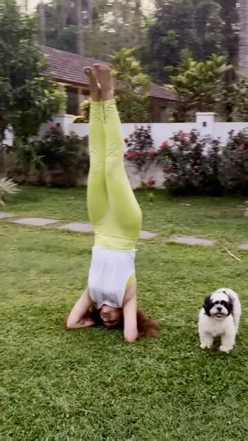 Keerthy Sureshs Intensive Yoga Asana Video Goes Viral Watch
