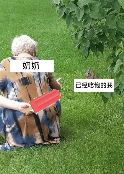 温馨 梗图网 Ai梗图搜索引擎与百科