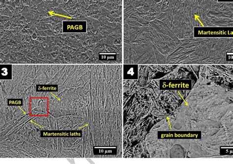 Optical Microscopy And Sem Image Of Cross Sections Bead Of The A Tig Weld
