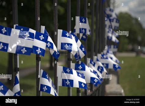 Fleur De Lys Quebec Flag At Savannah Buckmaster Blog