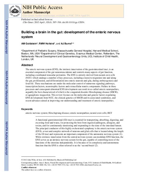 Pdf Building A Brain In The Gut Development Of The Enteric Nervous