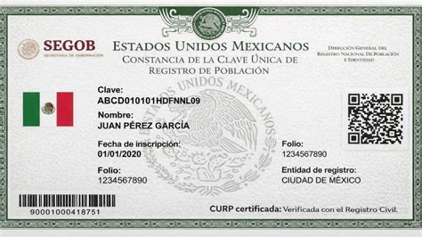 Curp Certificada 2026 Guía Para Descargarla Gratis En Línea