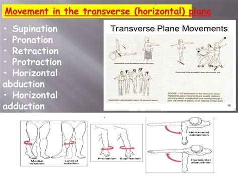 Axis And Planes PPTX