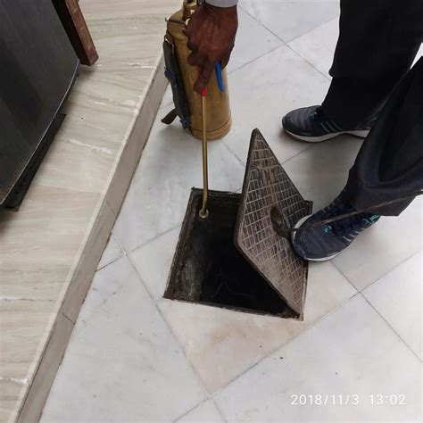 How Cockroach Control Services Transformed Priyas Peace Of Mind