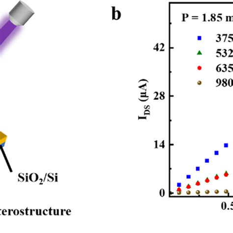 A Schematic Diagram Of The Mos2ws2 Heterostructure Photodetector