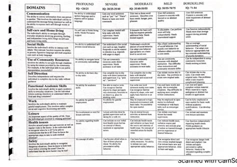Int Disability Functional Screening Pdf