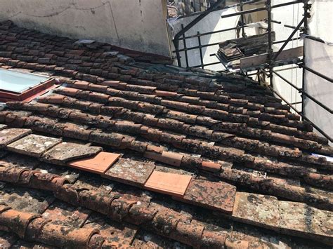 Cosimo Ridolfi Palace Sansone Srl Restauro E Decorazione