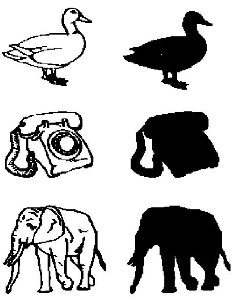 Examples Of Shaded Objects And Silhouettes Download Scientific Diagram