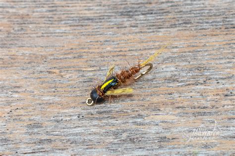 Split Case Pmd Nymph Tailwater Junkie