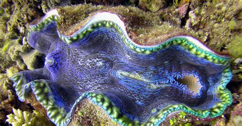 Rule 34 The Least Sexy Sex Terms