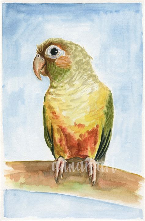 Green Cheek Conure Art