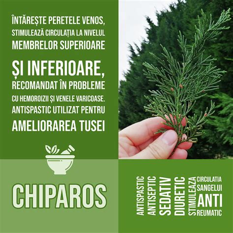 Chiparos Beneficii Tile Photograph By Ana Naturist Pixels