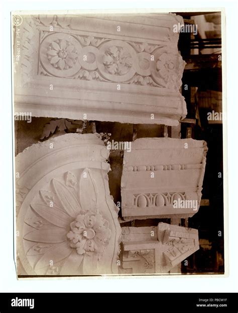 Plaster Models Cut Out Stock Images And Pictures Alamy