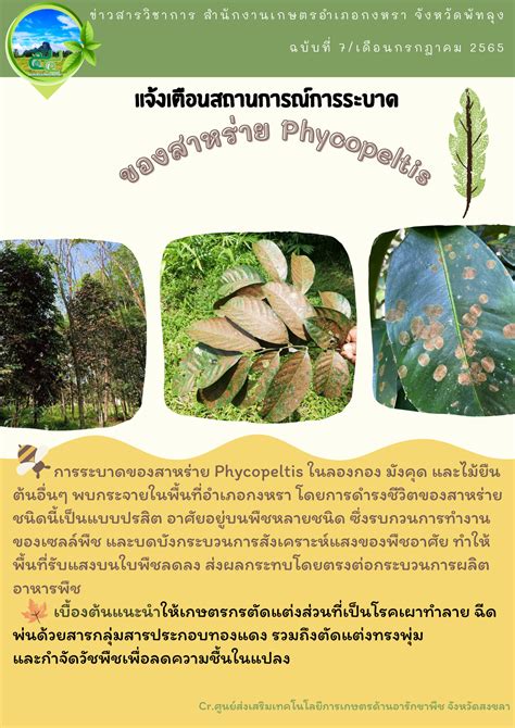 🚫🚫แจ้งเตือนการระบาดของสาหร่าย สำนักงานเกษตรอำเภอกงหรา