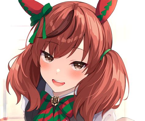 Download Nice Nature Anime Uma Musume Pretty Derby Hd Wallpaper By