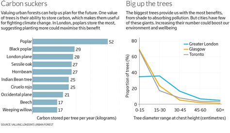 Tree Growth Rates Chart