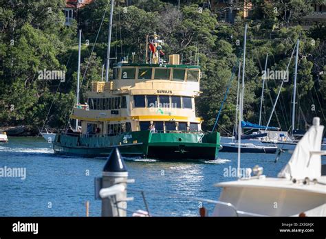 Sydney Ferry The Mv Sirius First Fleet Class Ferry In Mosman Bay On