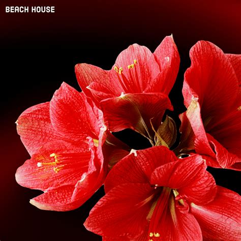 Git 135 Assignment 07 On Behance