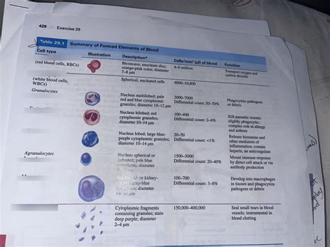 Practical 1 Diagram 6 Diagram Quizlet