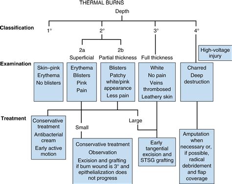 The Burned Hand Clinical Tree