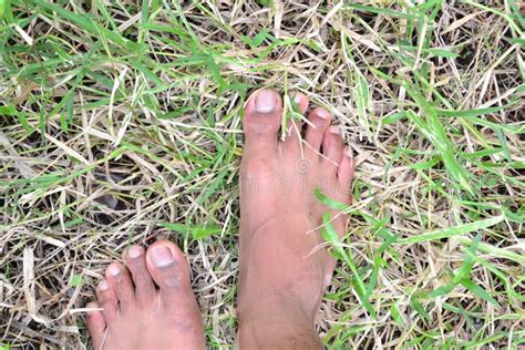 Man Bare Feet On The Grass Stock Image Image Of Nature 33698353
