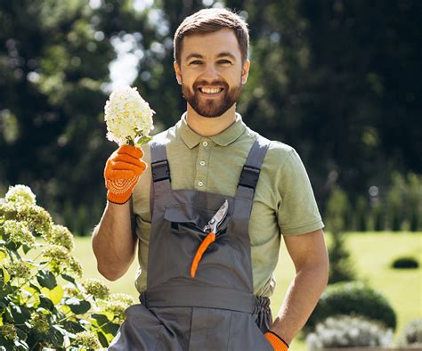 Products Optimum Data Analytics