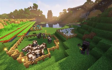 Iris Shaders