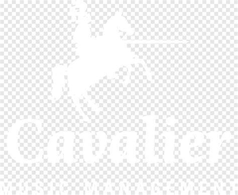 Adidas New Zealand Clothing Accessories Shoe Adidas Angle Rectangle