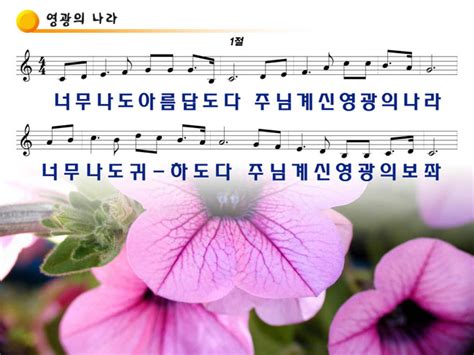 인포처치 이 세상의 기독교자료 다 모여랏