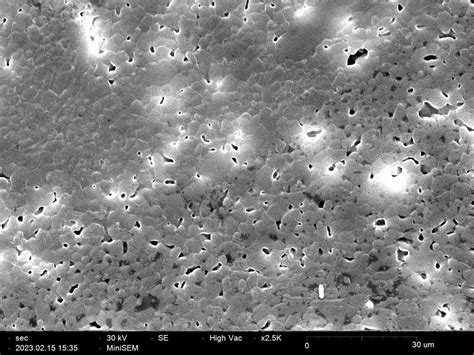 Pore Object Detection Model By Pore Detection