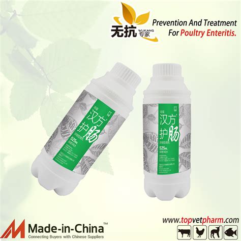 Herbal Treatment Prevention Necrotic Enteritis In Broiler Chickens