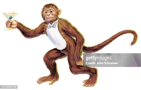 1081 Silly Monkey High Res Illustrations Getty Images