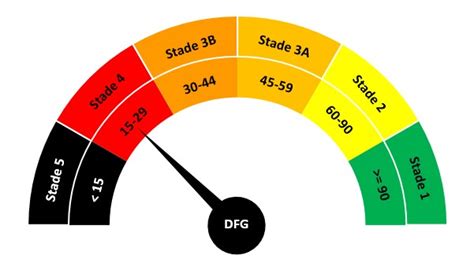 Dfg Egfr Full Equations Pediatric Néphrologie