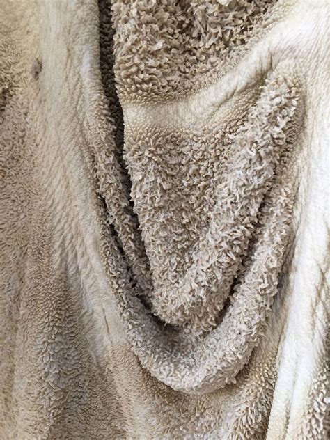 Billie Van Katwijk Transforms Discarded Cow Stomachs Into Leathery Material