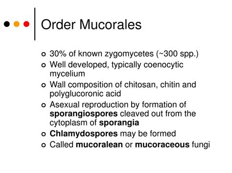 Ppt Phylum Zygomycota Powerpoint Presentation Free Download Id1200399