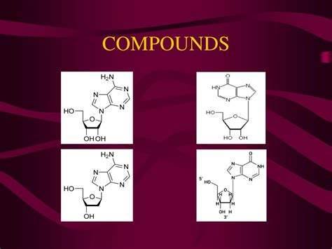 Ppt Ames Test Powerpoint Presentation Free Download Id 4046024