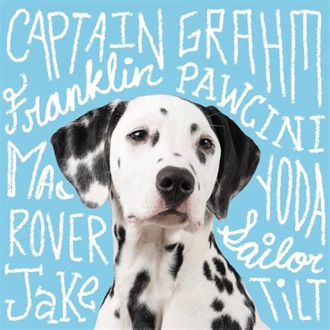 Show Dog Names