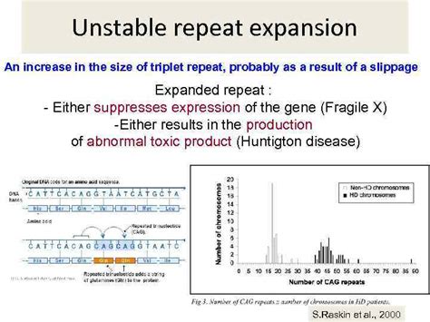 Mutations And Their Consequences Mutation Definition