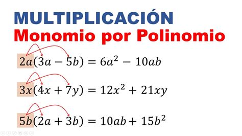 Multiplicacion De Monomio Por Polinomio Ejercicios Resueltos Youtube