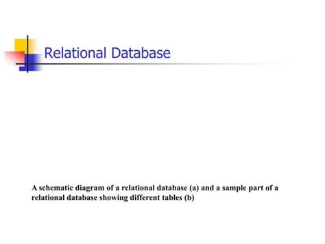 Presentation On Microsoft Access Database Creation And Management Ppt