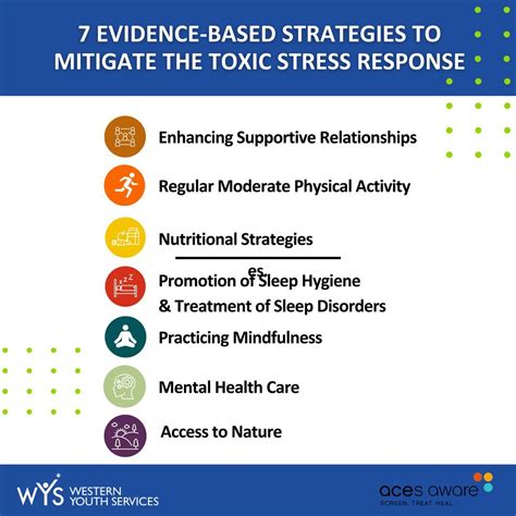 Seven Evidence Based Strategies For Regulating Ones Stress Response Thus Mitigating Toxic