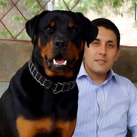 Andréz Peña Youtube