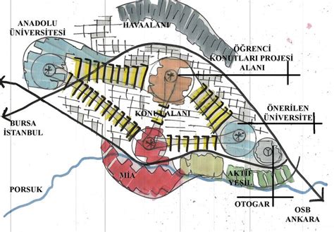 Plant Structure Diagram