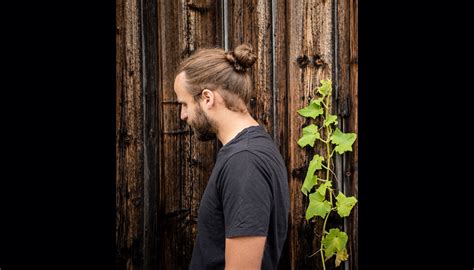 Leaf Vein Stadtkonzerte