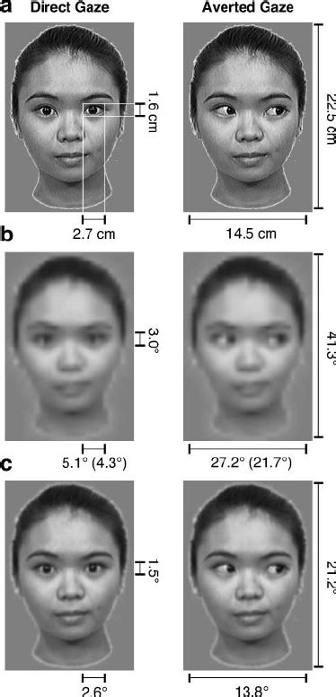 Results Of The Preferential Looking Study With Newborns A Mean